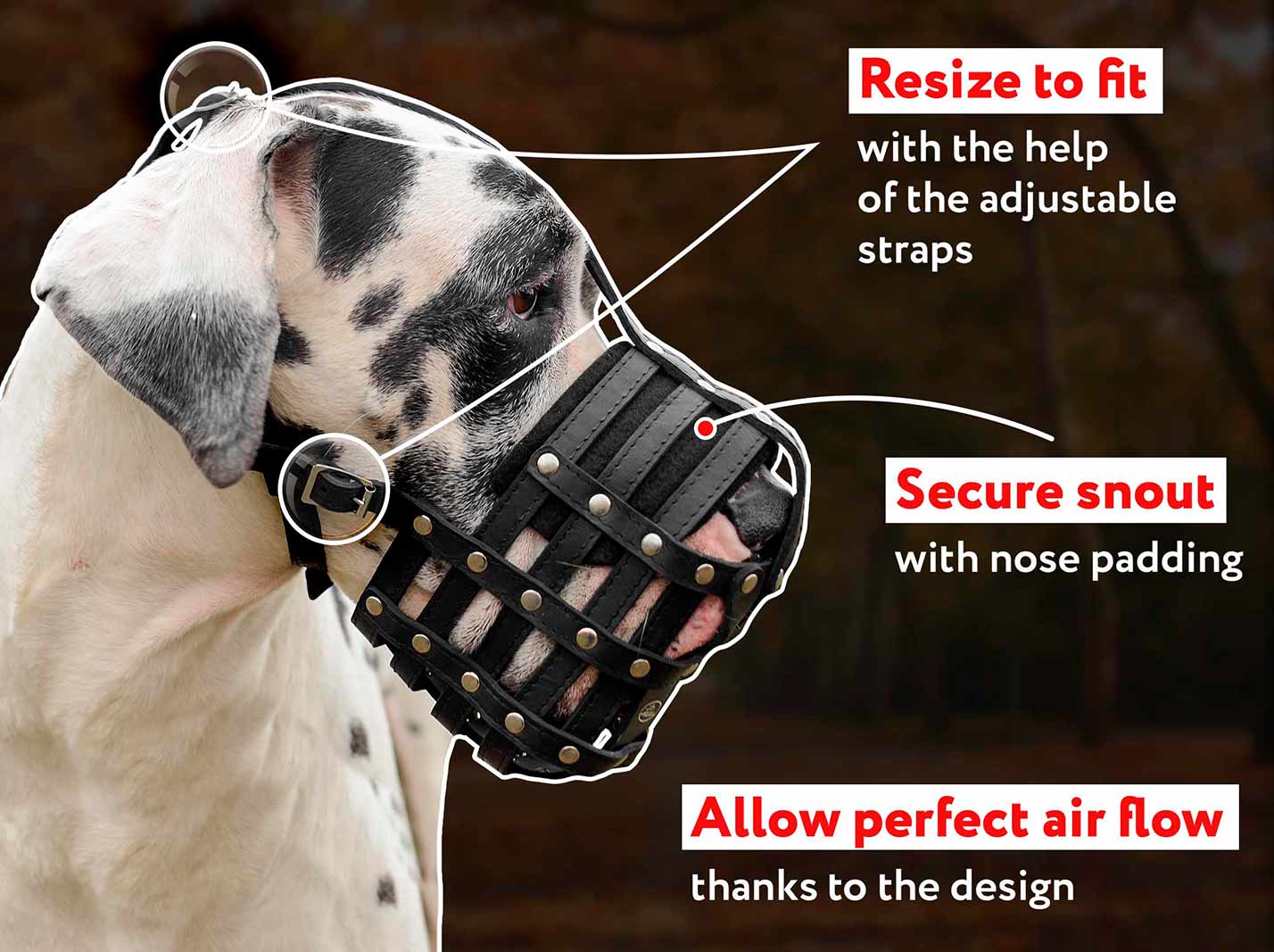 Universal Leather Muzzle for German 【Mastiff】 : Mastiff harness ...