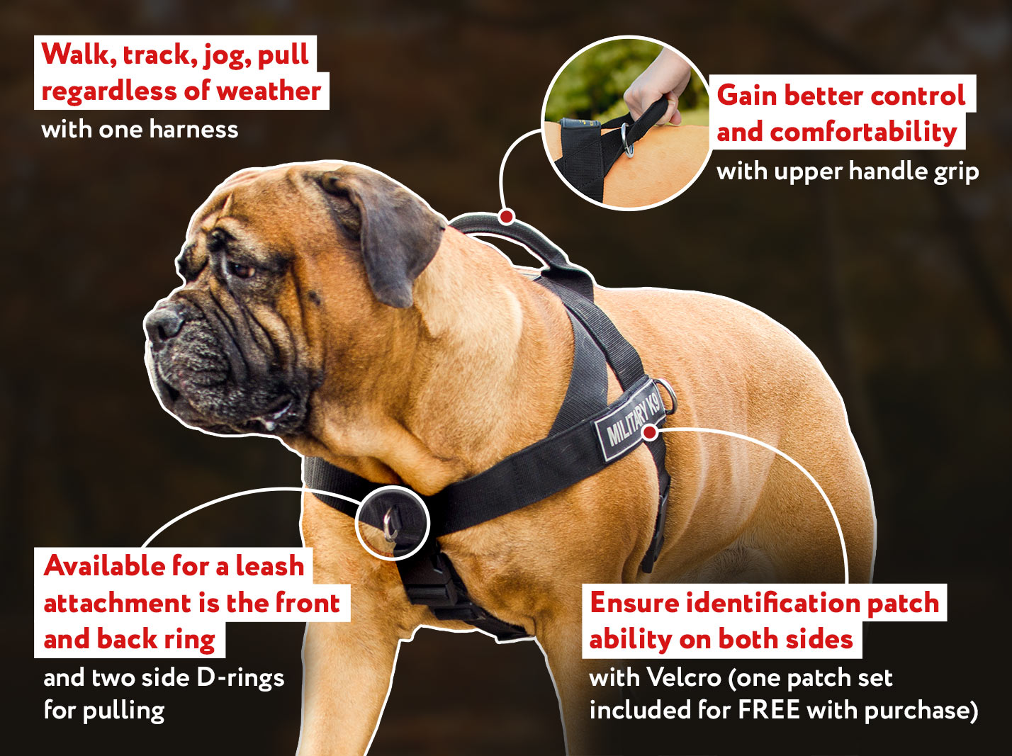 Bullmastiff Nylon Harness with ID Patches : Mastiff harness, Mastiff ...