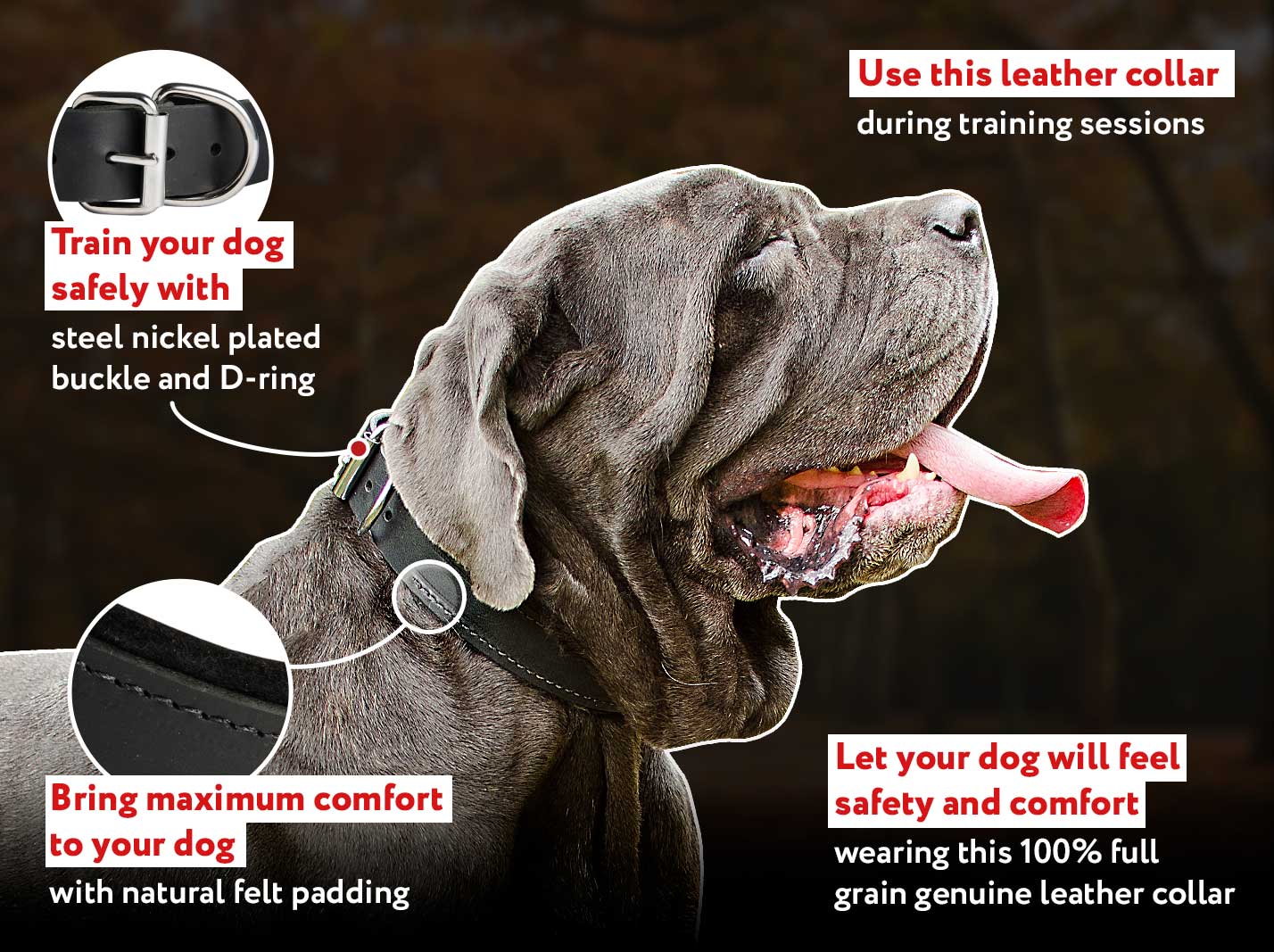 Padded Leather dog collar with thick felt for walking ,training ...