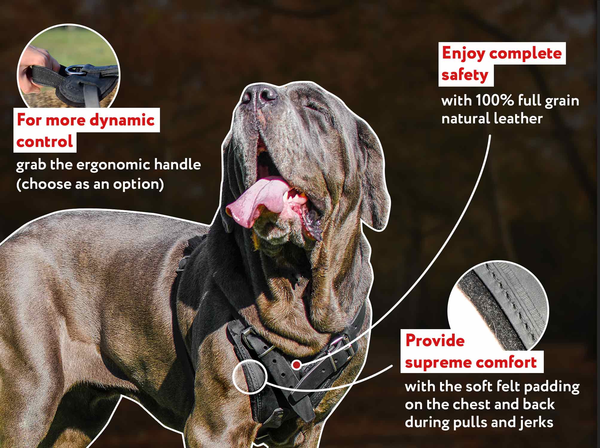 Get Classic Attack Work Leather Dog Harness for Mastiff at Low Cost