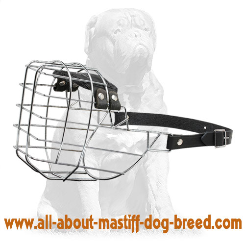 Bullmastiff Wire Cage Muzzle Professional [M9###1071 Wire Basket Muzzle ...